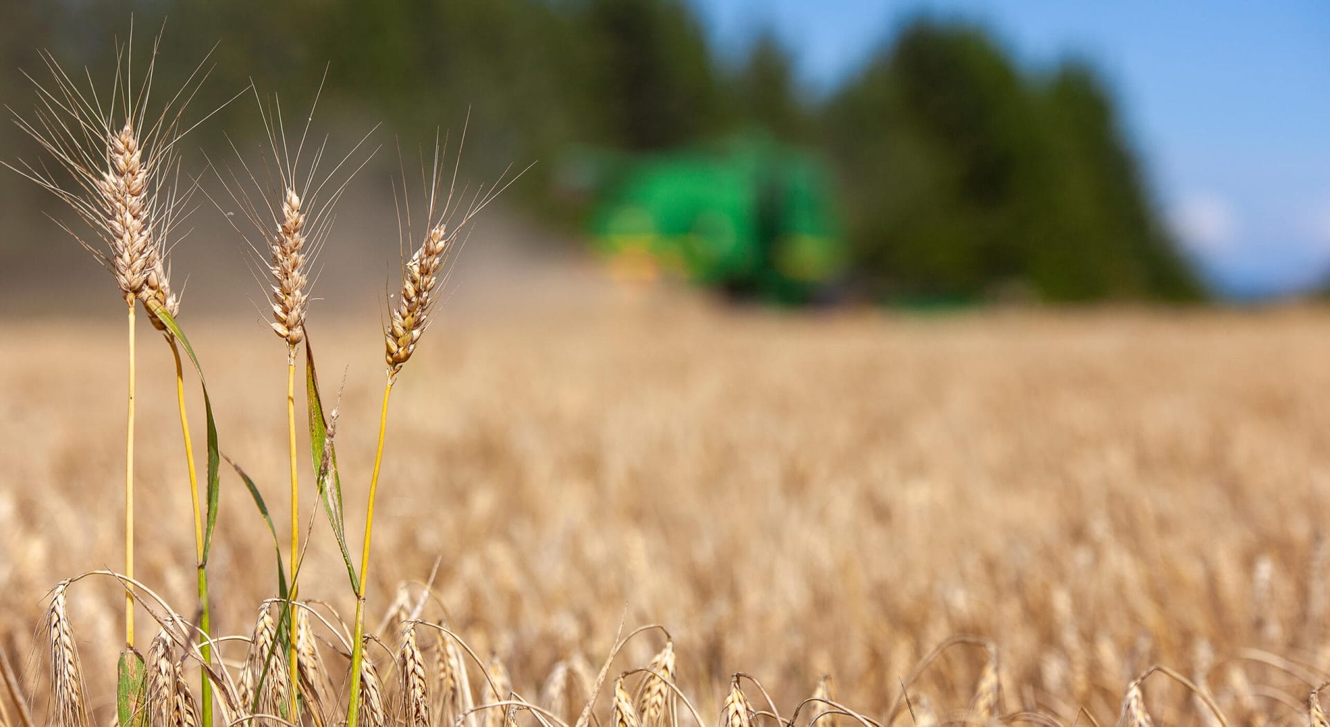 Our Farm Fresh Beers - Barnside Brewing